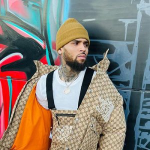 Chris Brown Contact Info | Booking Agent, Manager, Publicist