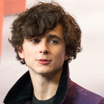 Timothée Chalamet Contact Info | Booking Agent, Manager, Publicist