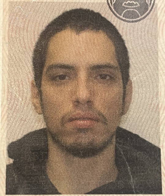 Mandragora - Agent, Manager, Publicist Contact Info