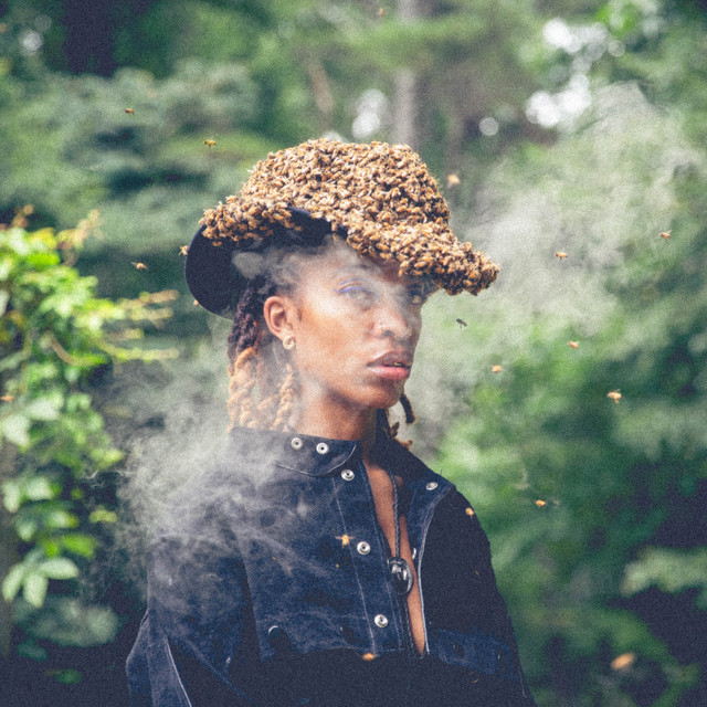 Kennedy Ryon - Agent, Manager, Publicist Contact Info