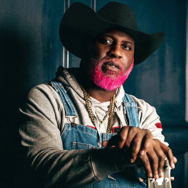 Pynk Beard - Insights