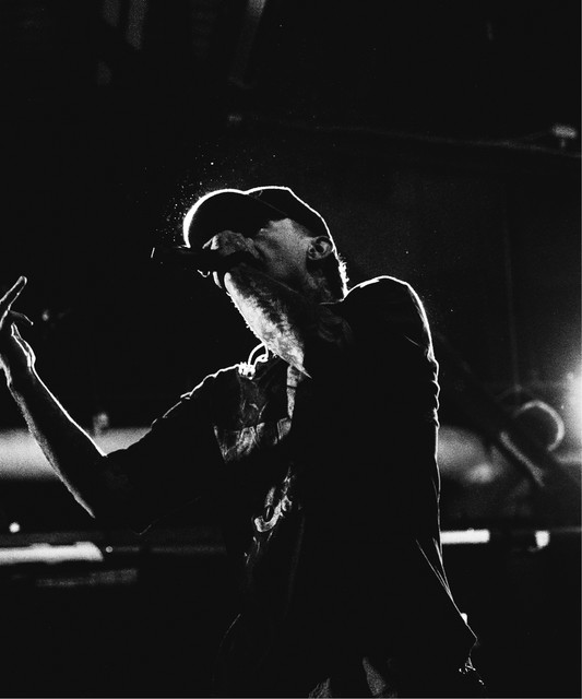 Terror Reid - Agent, Manager, Publicist Contact Info